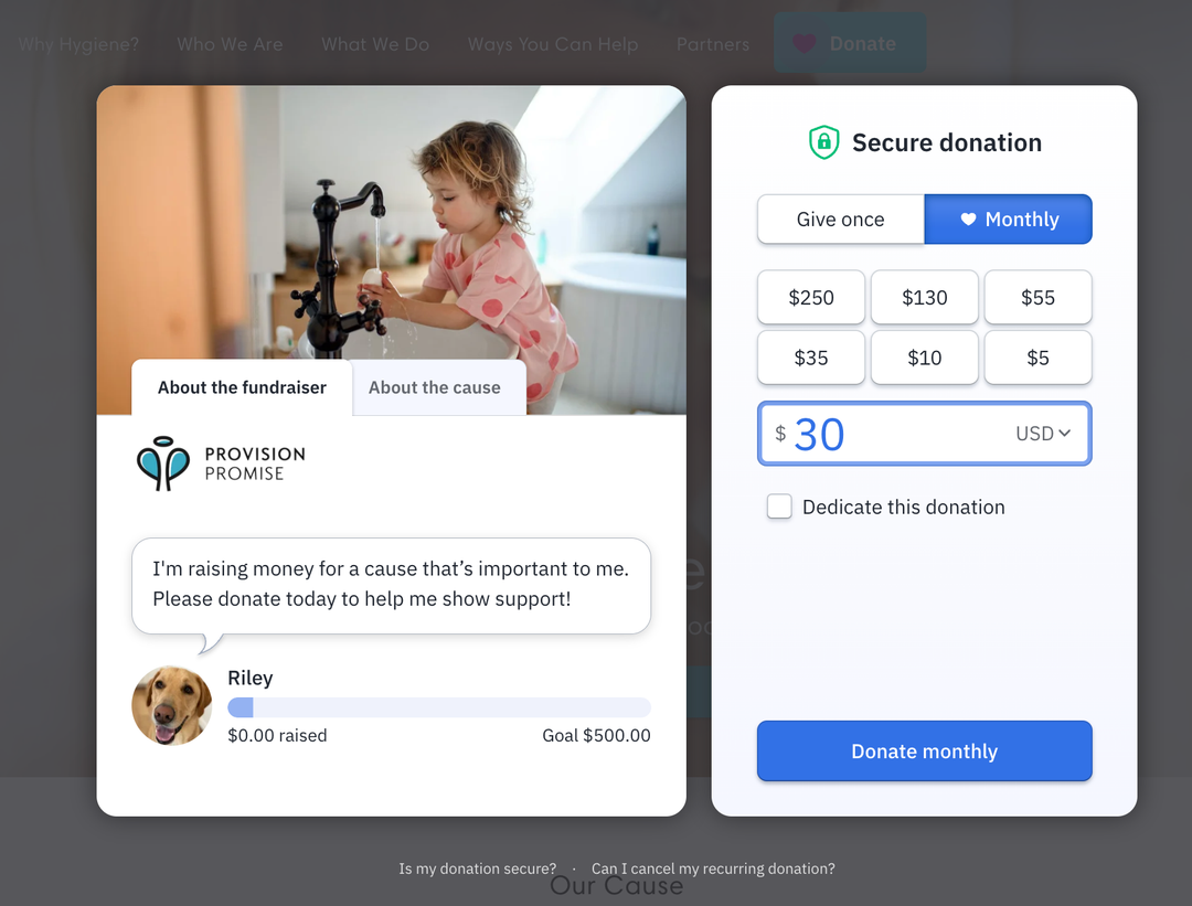 Volunteer Remotely or In-Person | Provision Promise